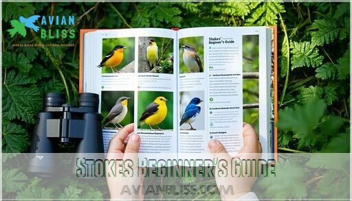 Simple Bird Identification Guide for Kids: Fun Tips & Best Resources