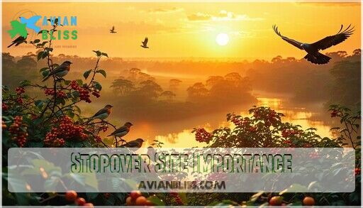 Bird Migration Survival Challenges: Why 65% of Migrants Won't Return Home