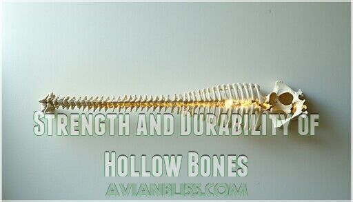 Why Do Birds Have Hollow Bones? The Amazing Truth!