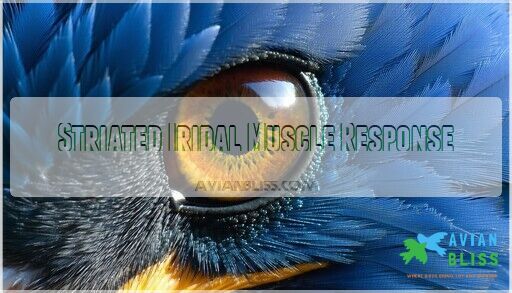 Bird Neurological Disease Symptoms: 9 Critical Warning Signs Every ...