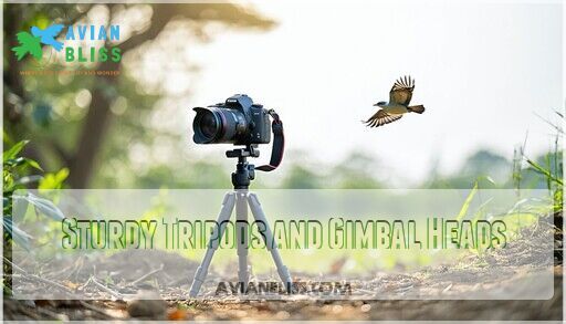 How to Photograph Birds in Flight: Pro Tips