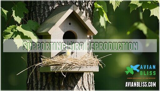 Supporting Local Bird Sanctuaries: Simple Ways to Help Save Wildlife