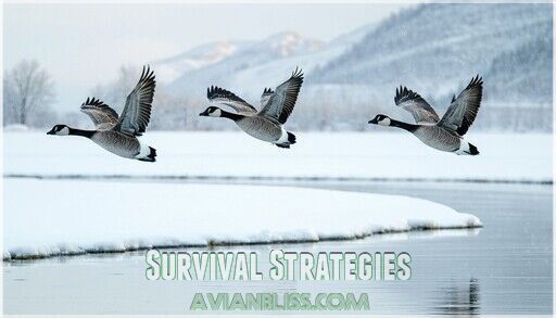 How Long Do Canadian Geese Live? Shocking Lifespan Secrets!