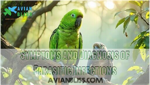 Effective Parasite Control for Pet Parrots: Save Your Bird Now!