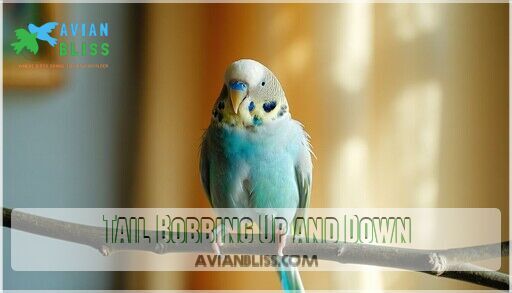 How to Help Bird With Respiratory Problems: Signs, Causes, and Care