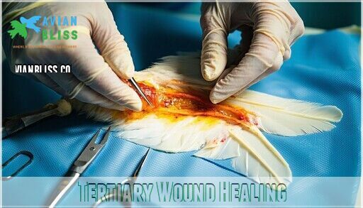 Bird Wound Healing Stages Explained: How Injuries Heal and Recovery Tips