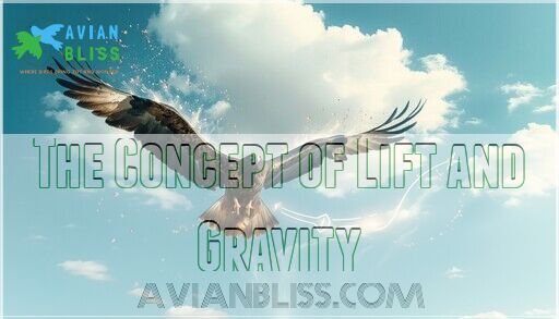 Bird Anatomy and Flight Mechanics: Secrets Behind Mastering The Skies