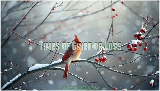 What Does It Mean When You See a Cardinal: 7 Spiritual Messages