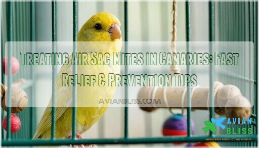 Treating Air Sac Mites in Canaries: Fast Relief & Prevention Tips