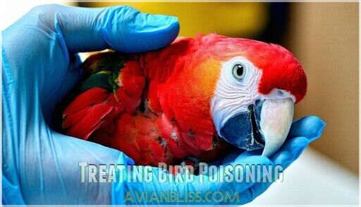Bird Poisoning Symptoms Treatment: Act Fast