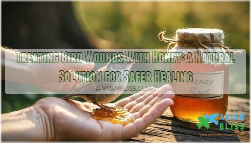 Treating Bird Wounds With Honey: a Natural Solution for Safer Healing