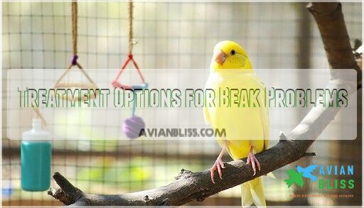 Canary Beak Problems Treatment: 10 Solutions Every Bird Owner Must Know