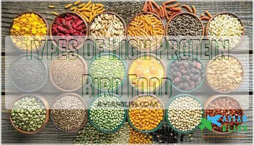 High Protein Bird Food: Boost Health
