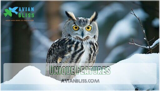 Types of Owls: Species, Facts, and Conservation Insights for 2025