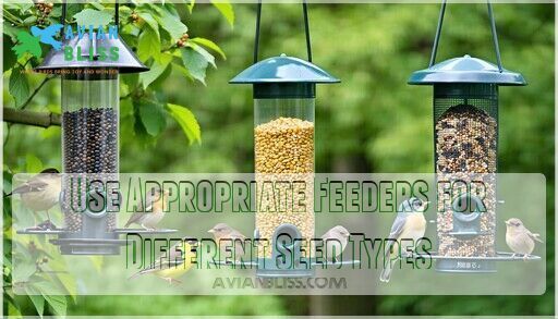 Bird Feeder Food Types: 10 Best Seeds to Attract Backyard Birds