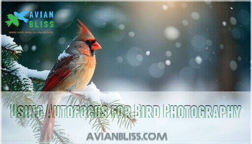 Focusing Techniques Bird Photography: Master Sharp Wildlife Shots