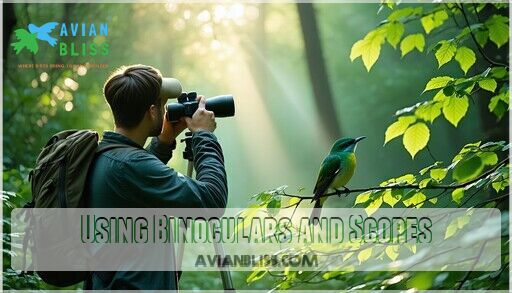 Bird Identification Using Physical Characteristics: a Beginner's Guide