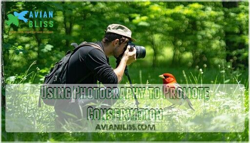 Bird Conservation Through Photography: Protect Wildlife With Your Camera