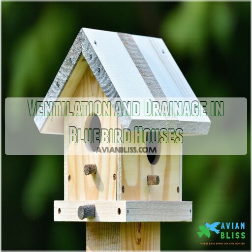 Bird House for Bluebirds: 9 Top Boxes That Attract Nesting Pairs Fast!