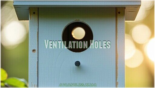 Bird House Paint Non Toxic: 9 Safe Options Birds Actually Love