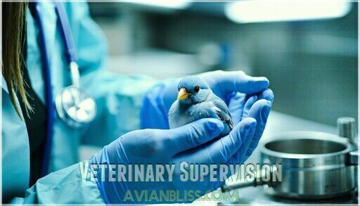 Bird Wound Healing Stages Explained: How Injuries Heal and Recovery Tips