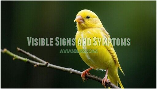 Treating Air Sac Mites in Canaries: Fast Relief & Prevention Tips