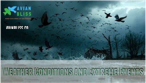 Bird Migration Survival Challenges: Why 65% of Migrants Won't Return Home