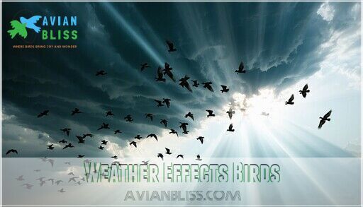 Impact of Weather on Bird Migration: How Climate is Changing Their Path