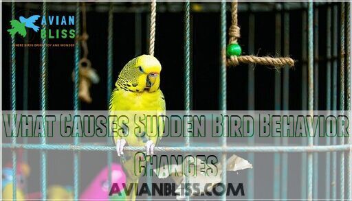 Sudden Bird Behavior Changes: Warning Signs Every Owner Must Know
