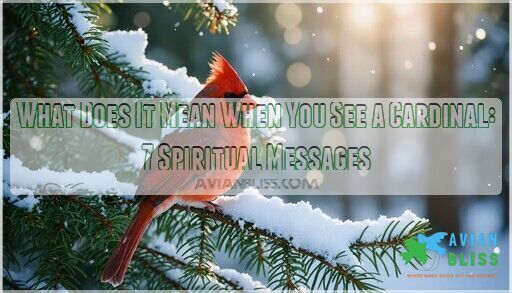 What Does It Mean When You See a Cardinal: 7 Spiritual Messages