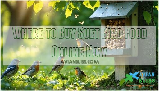 Where to Buy Suet Bird Food Online Now