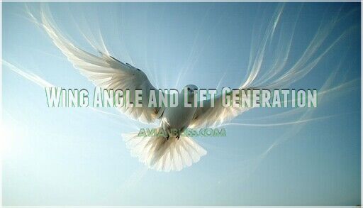 Bird Anatomy and Flight Mechanics: Secrets Behind Mastering The Skies