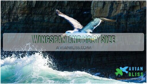 Largest Wingspan Bird: Meet The Giants of The Skies!