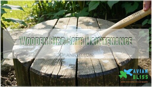 Bird Bath Material Maintenance Tips for a Clean and Healthy Backyard