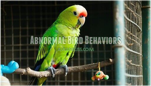 Common Bird Behavior Problems: Simple Solutions That Actually Work