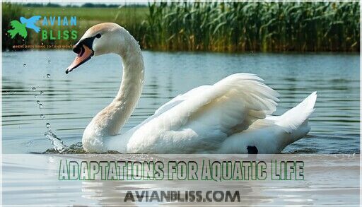 White Water Birds: 25 Beautiful Species You Need to See (2025 Guide)