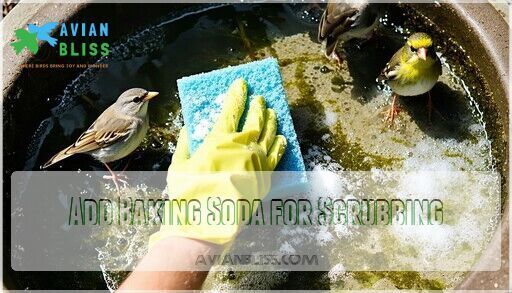 Homemade Bird Bath Cleaner Recipe Natural Diy Solutions That Work