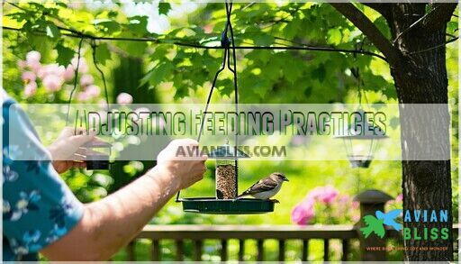 Safe Backyard Bird Feeding Tips: Avoid These 7 Deadly Mistakes