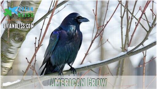 Backyard Birds of Kansas: 38 Common Species With Pictures (2025)