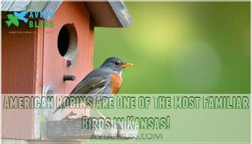 Backyard Birds of Kansas: 38 Common Species With Pictures (2025)