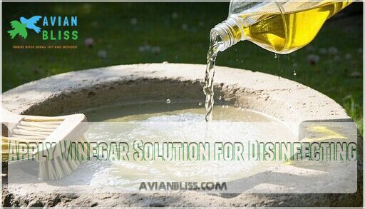 Homemade Bird Bath Cleaner Recipe Natural Diy Solutions That Work