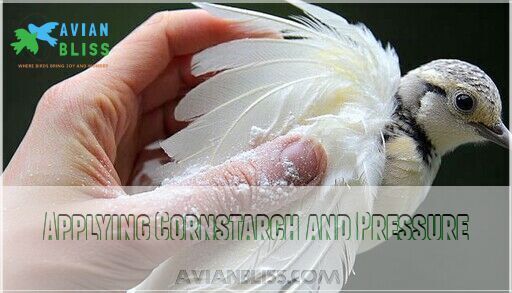 Bird Bleeding Wing Treatment: Emergency First Aid Steps That Save Lives