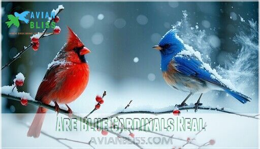 Are There Blue Cardinals? The Truth About This Bird Myth Revealed