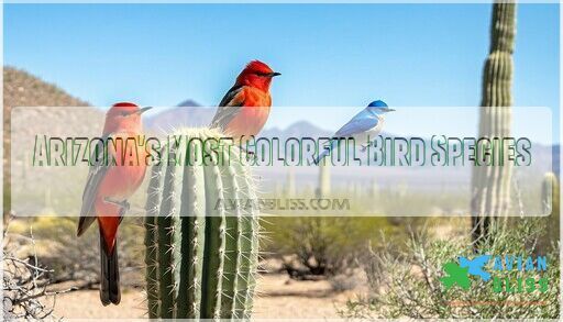Common Birds in Arizona: Complete Guide With Photos & ID Tips (2025)