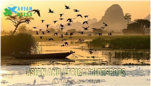 Bird Photography Travel Locations: 15 Epic Hotspots for Stunning Shots