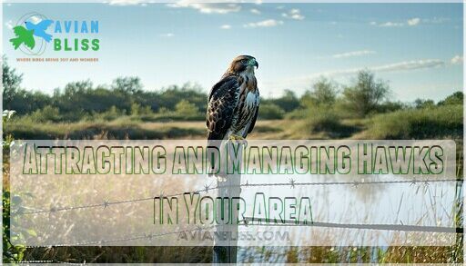 How Long Do Hawks Stay in One Area? Territory & Hunting Secrets