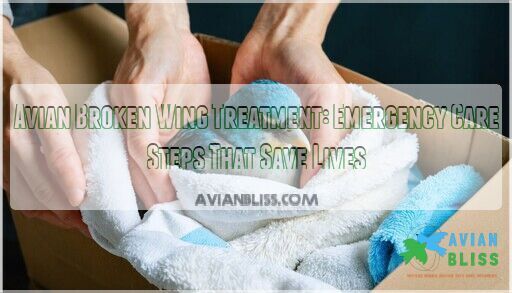 Avian Broken Wing Treatment: Emergency Care Steps That Save Lives