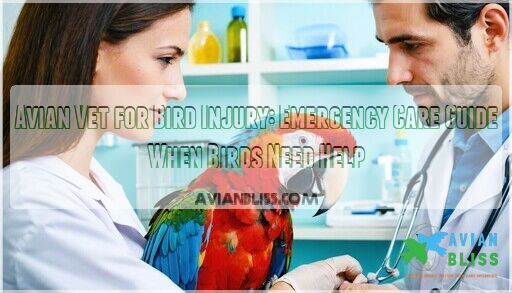 Avian Vet for Bird Injury: Emergency Care Guide When Birds Need Help