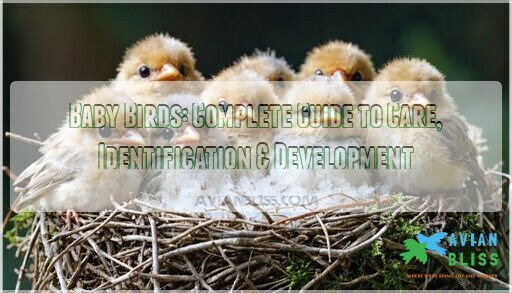 Baby Birds: Complete Guide to Care, Identification & Development
