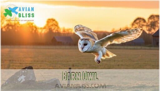Wisconsin Owl Sounds: Hear and Identify 9 Unique Owls in Your Area